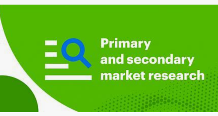 From Data to Decisions: Leveraging Primary Market Research
